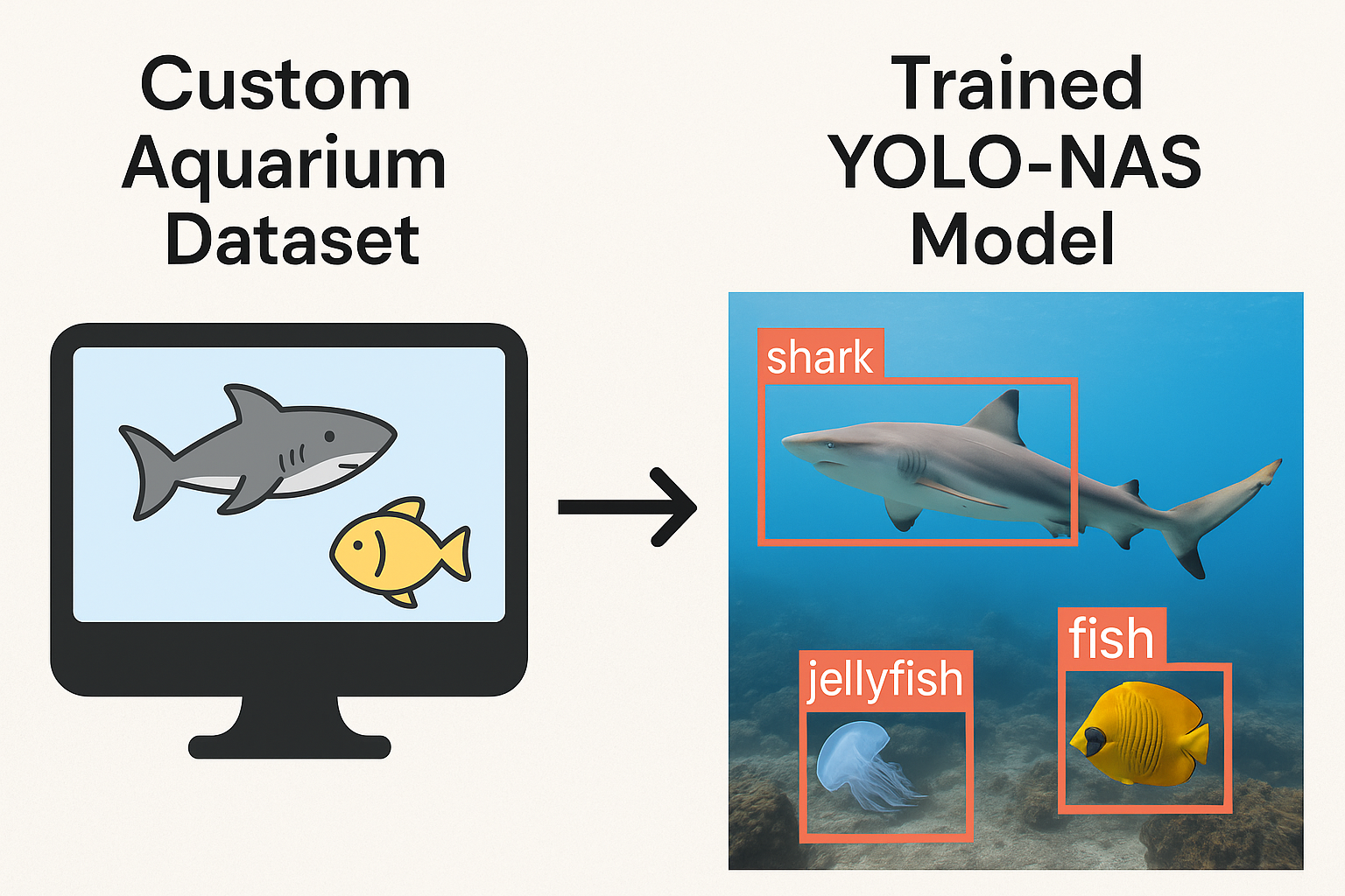 Train Yolo Nas On Custom Dataset (Aquarium Images)