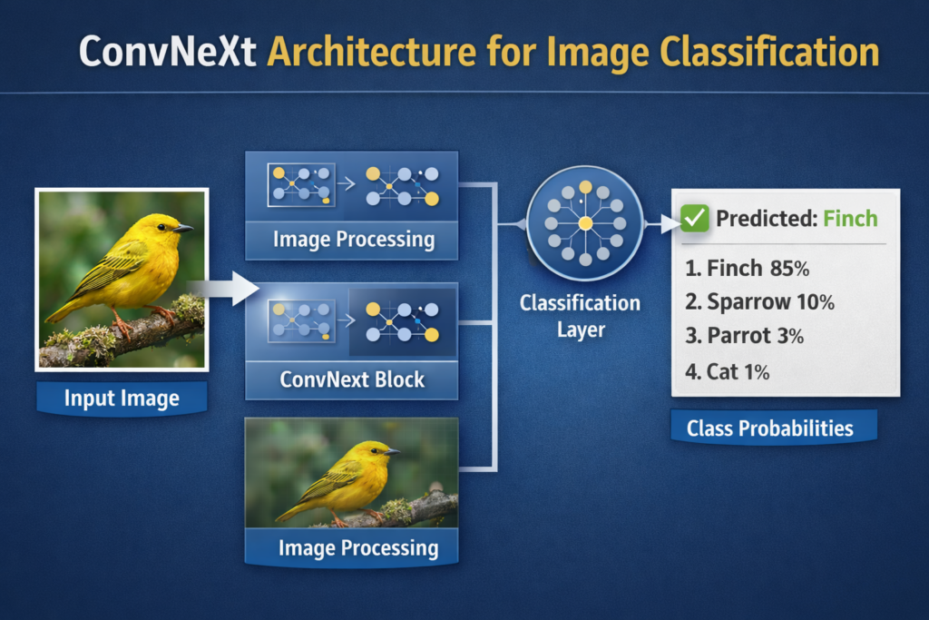 ConvNeXt Image Classification: How To Classify Images