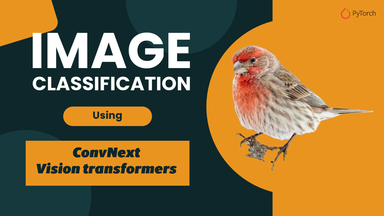 ConvNeXt Image Classification: How To Classify Images