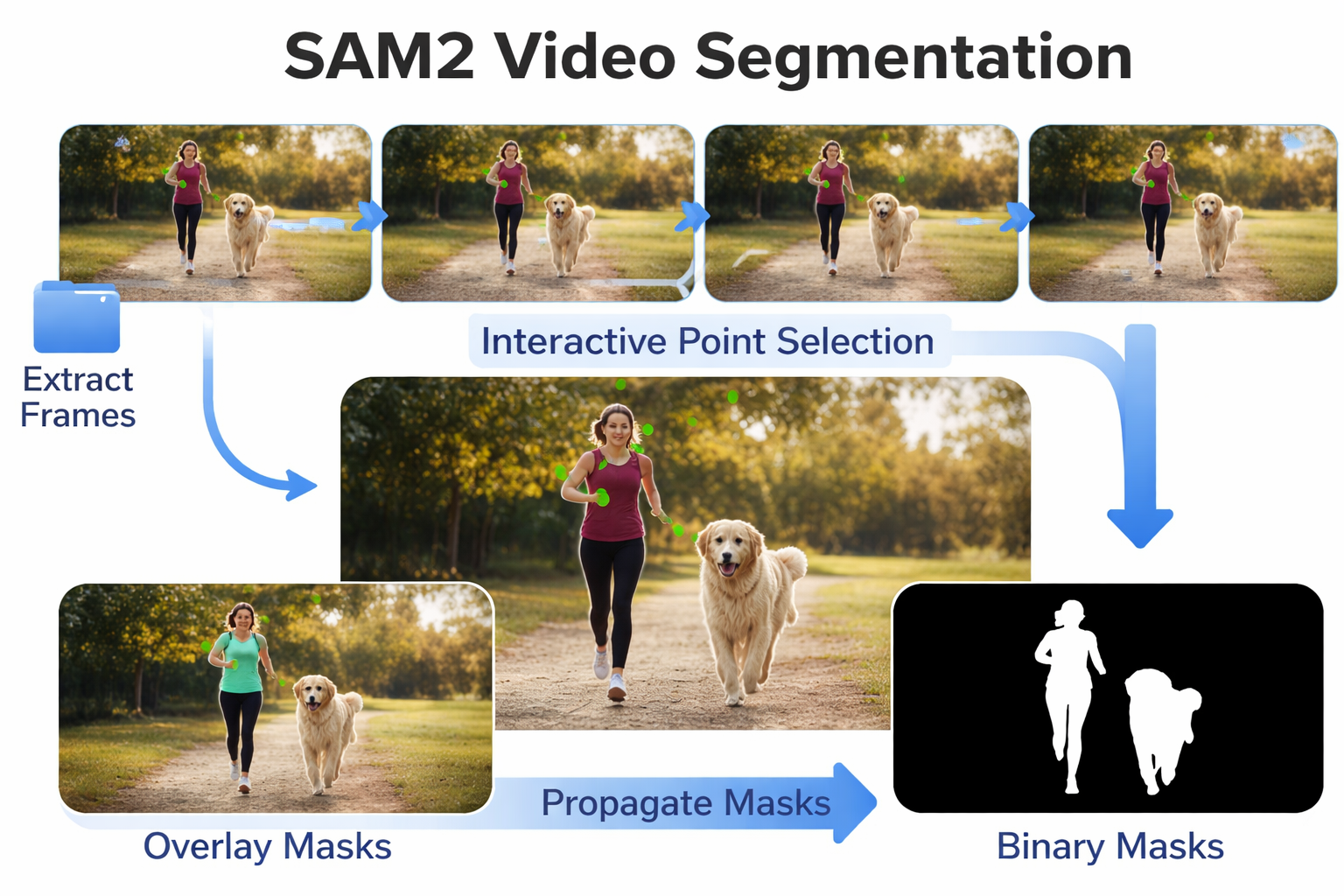 SAM 2 Video Segmentation Python: Complete Implementation Guide